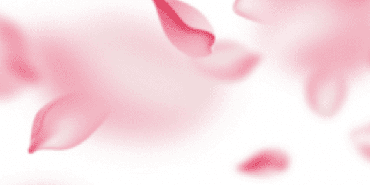 30+ Background Undangan Pernikahan Elegan 2021