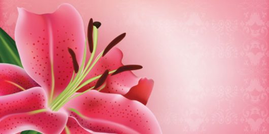 30+ Background Undangan Pernikahan Elegan 2021